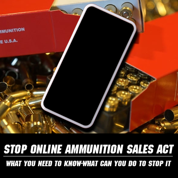 H.R.7166 Bill to Ban Online 🖥️ Ammo Sales - What You Need to Know ...
